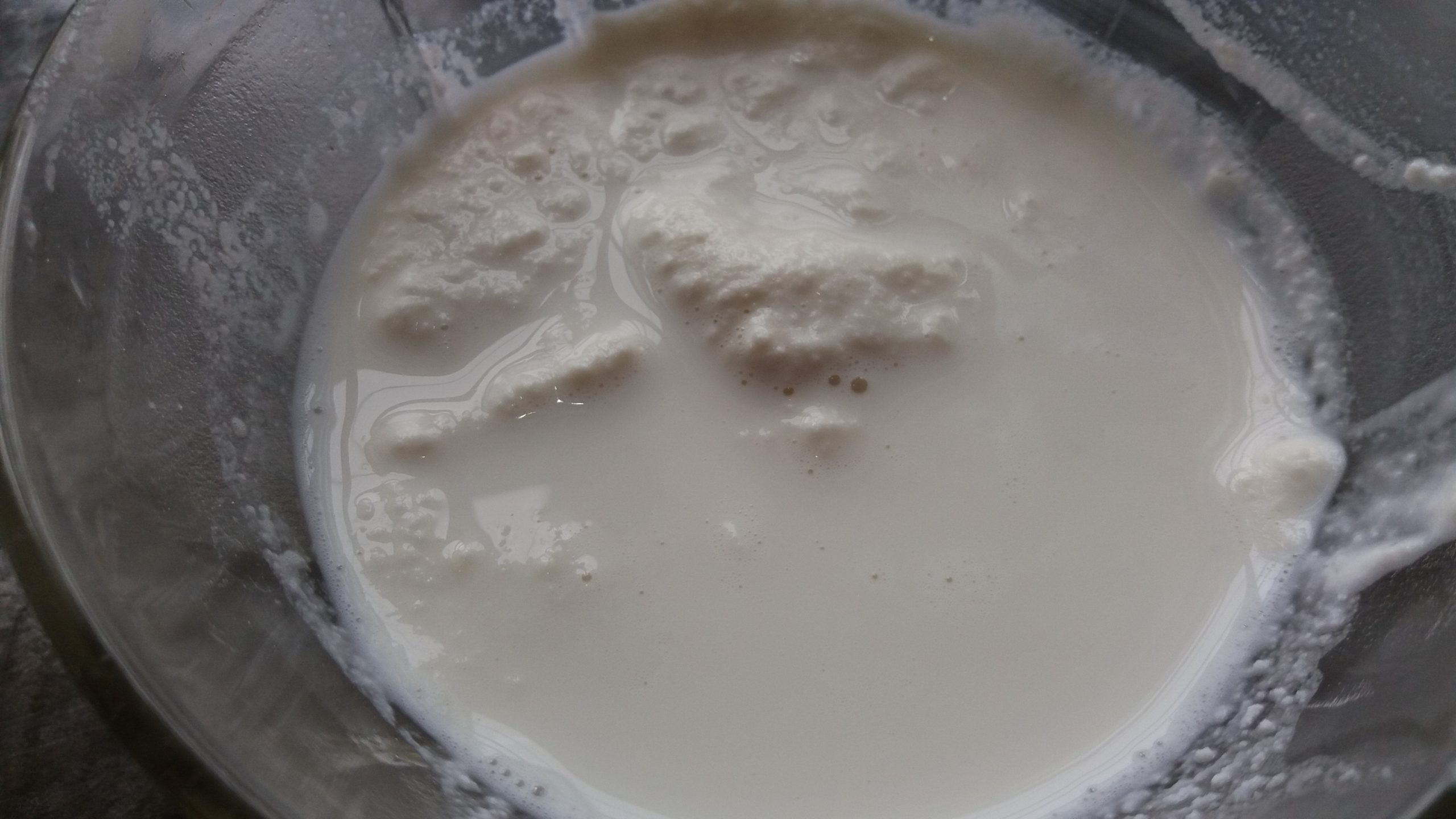 Badam Phirni (Almond Phirni Recipe) - Candid Treat