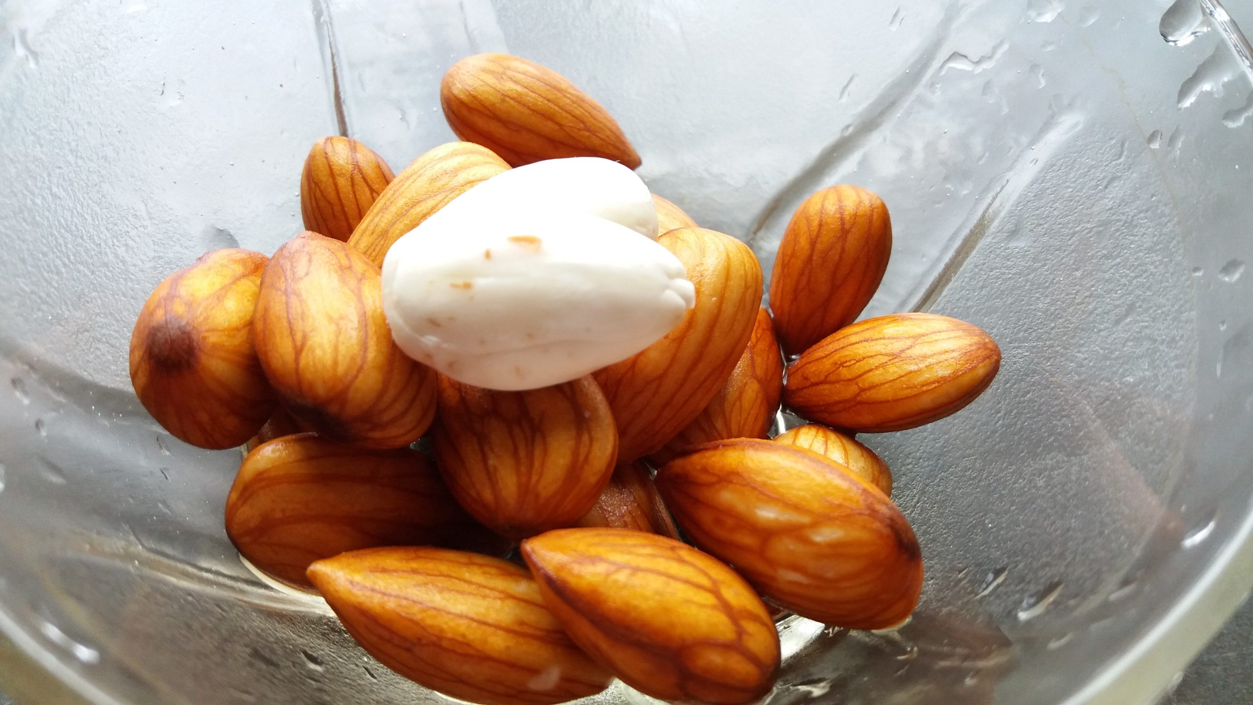 Badam Phirni (Almond Phirni Recipe) - Candid Treat