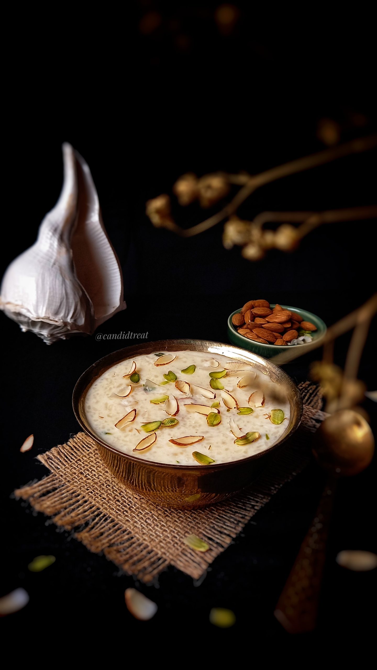 Kheer (Classic indian dessert Rice kheer) - Candid Treat