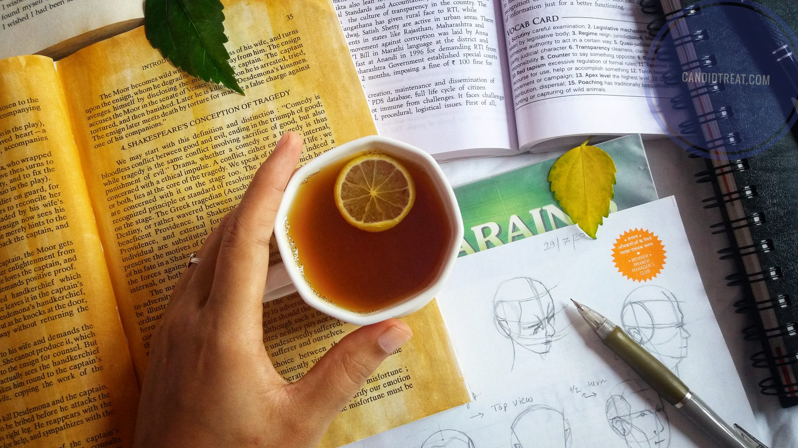 Lemon Tea ( How To Make Lemon Tea) - Candid Treat