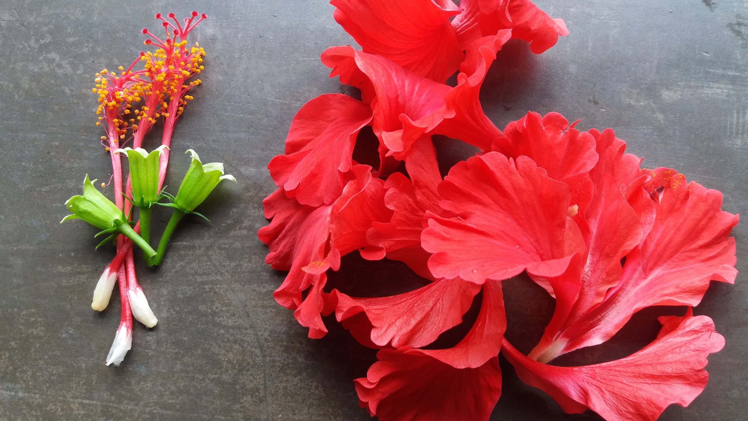 Hibiscus Tea (With A Simple Method To Make This Tea) - Candid Treat