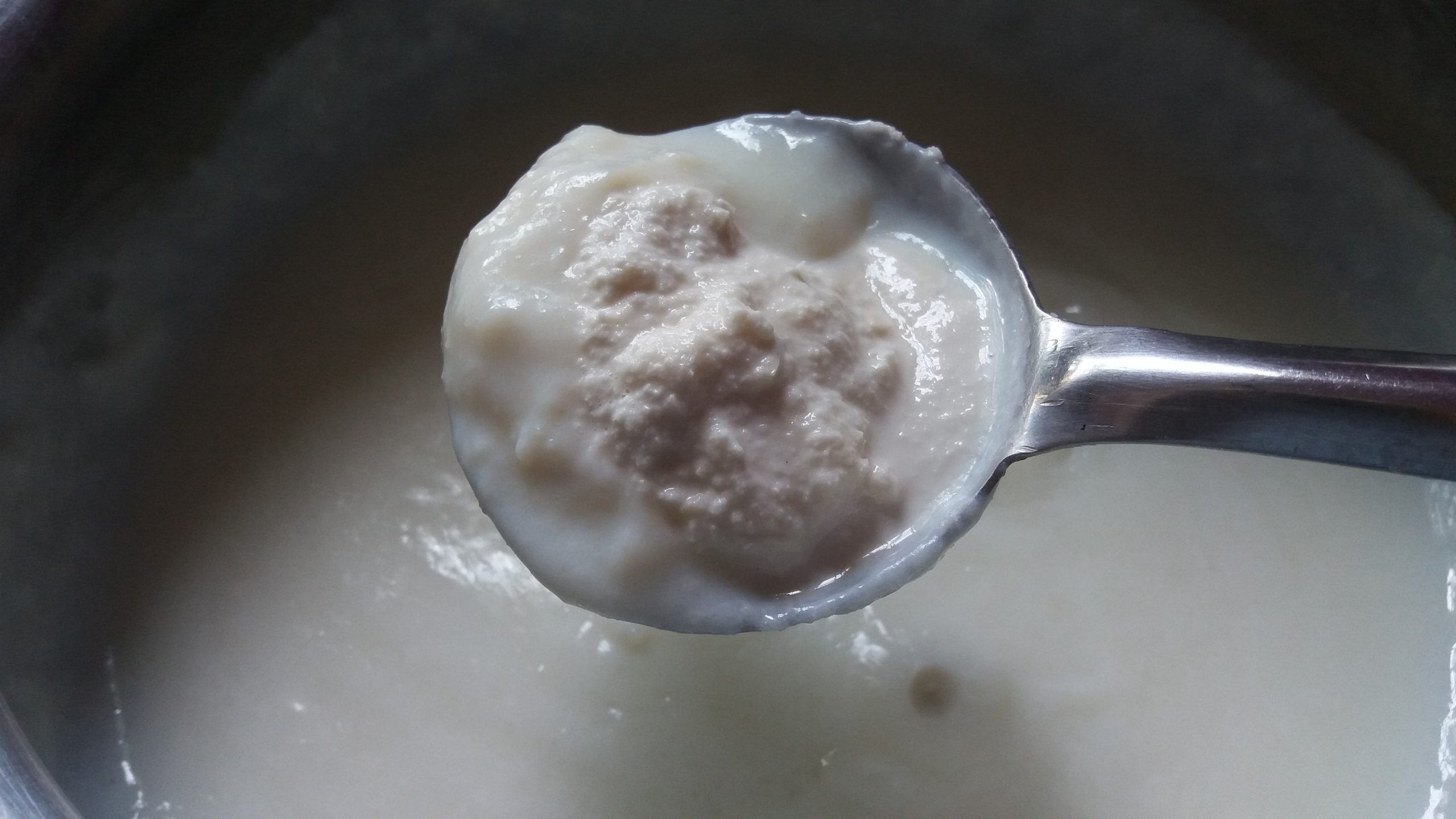 Badam Phirni (Almond Phirni Recipe) - Candid Treat