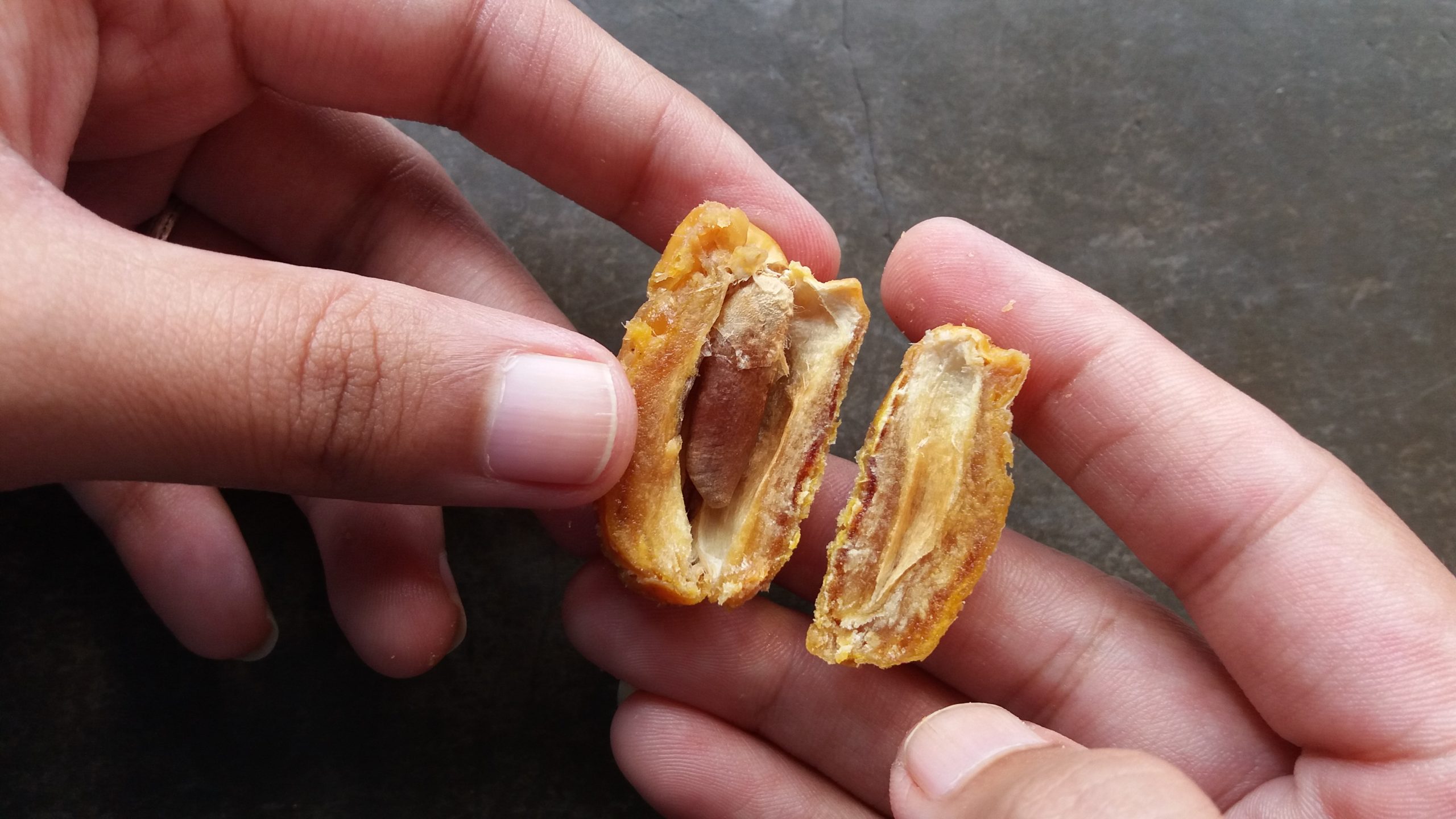 Sheer Khurma Recipe | How To Make Sheer Khurma - Candid Treat