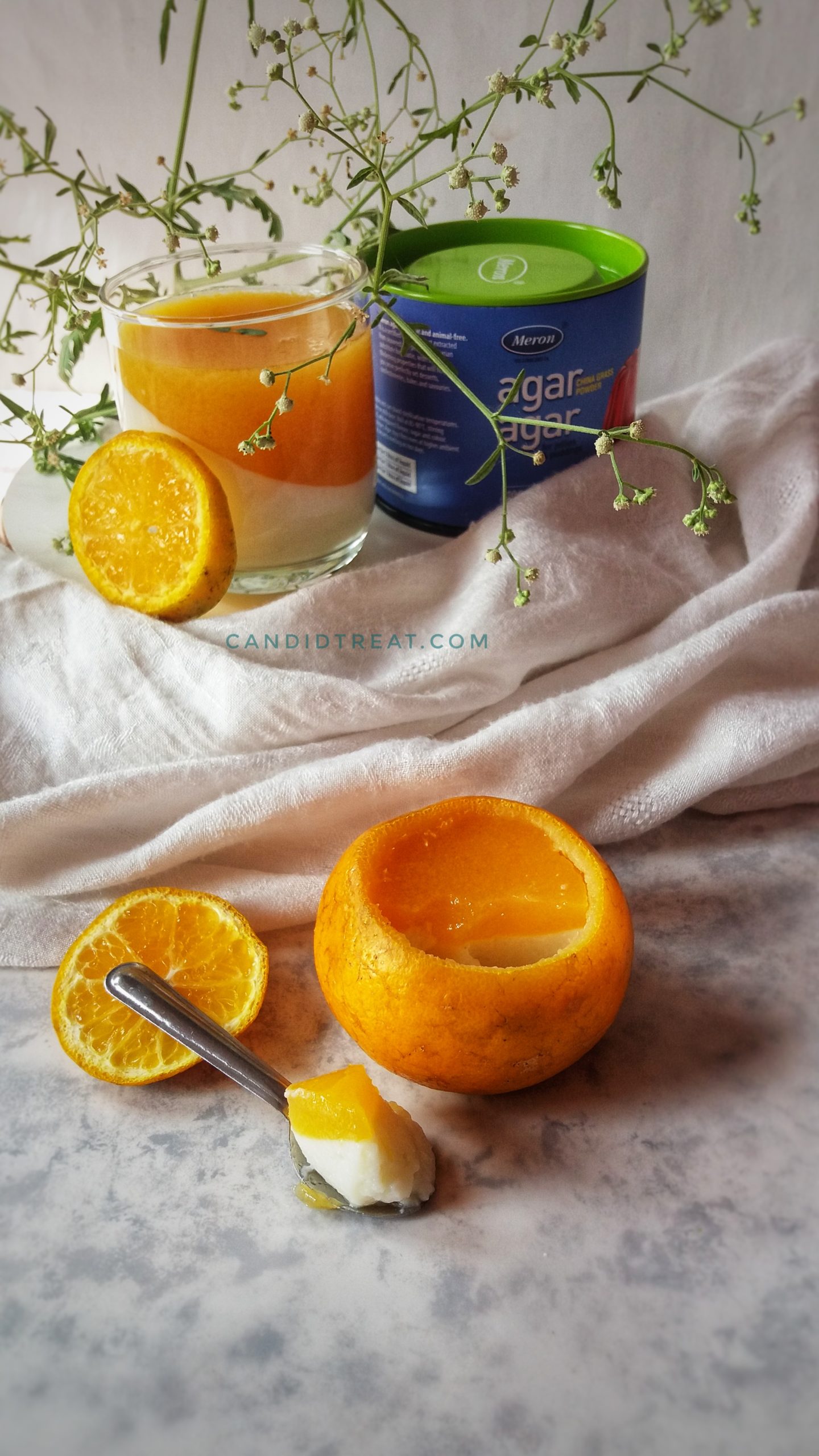 Orange panna cotta | How to make panna cotta - Candid Treat