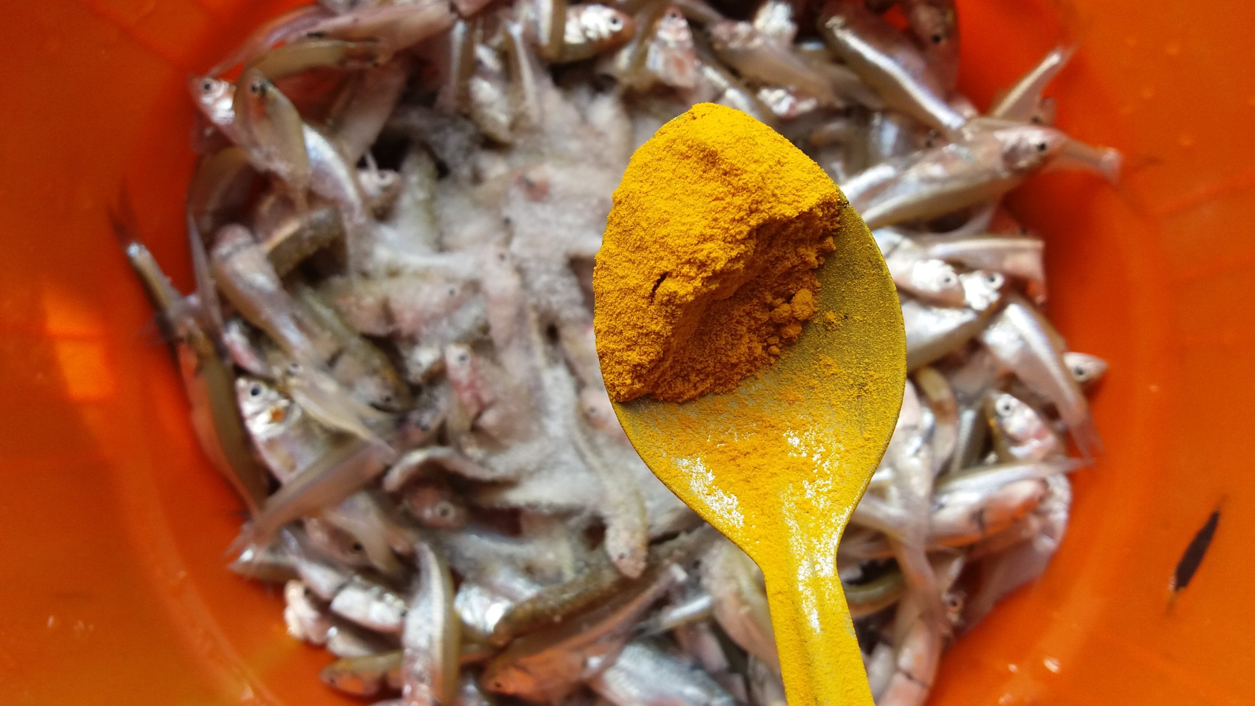 Fish Fry | How To Make Masala Fish Fry - Candid Treat