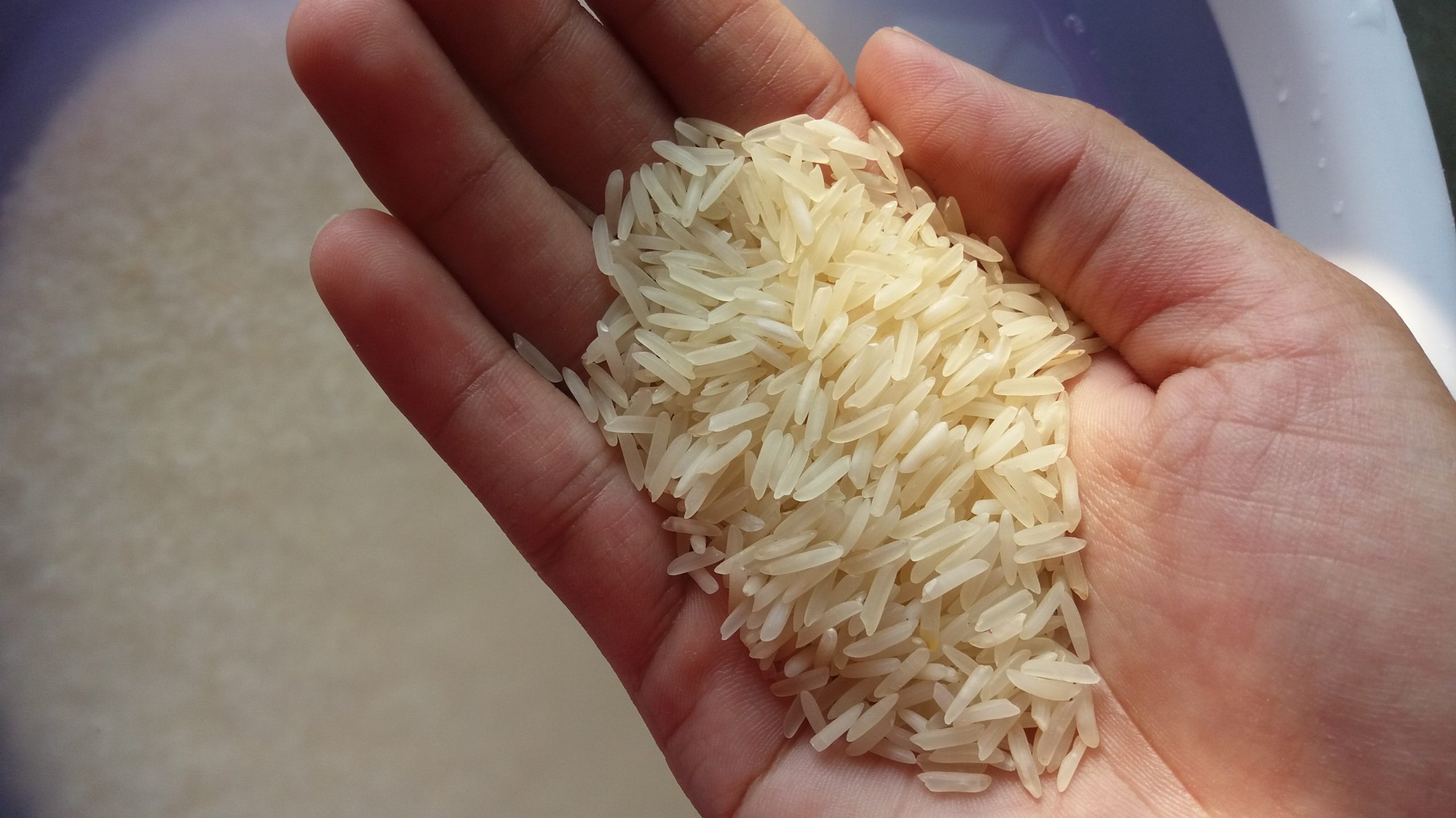 Egg Biryani | How To Make Egg Biryani - Candid Treat