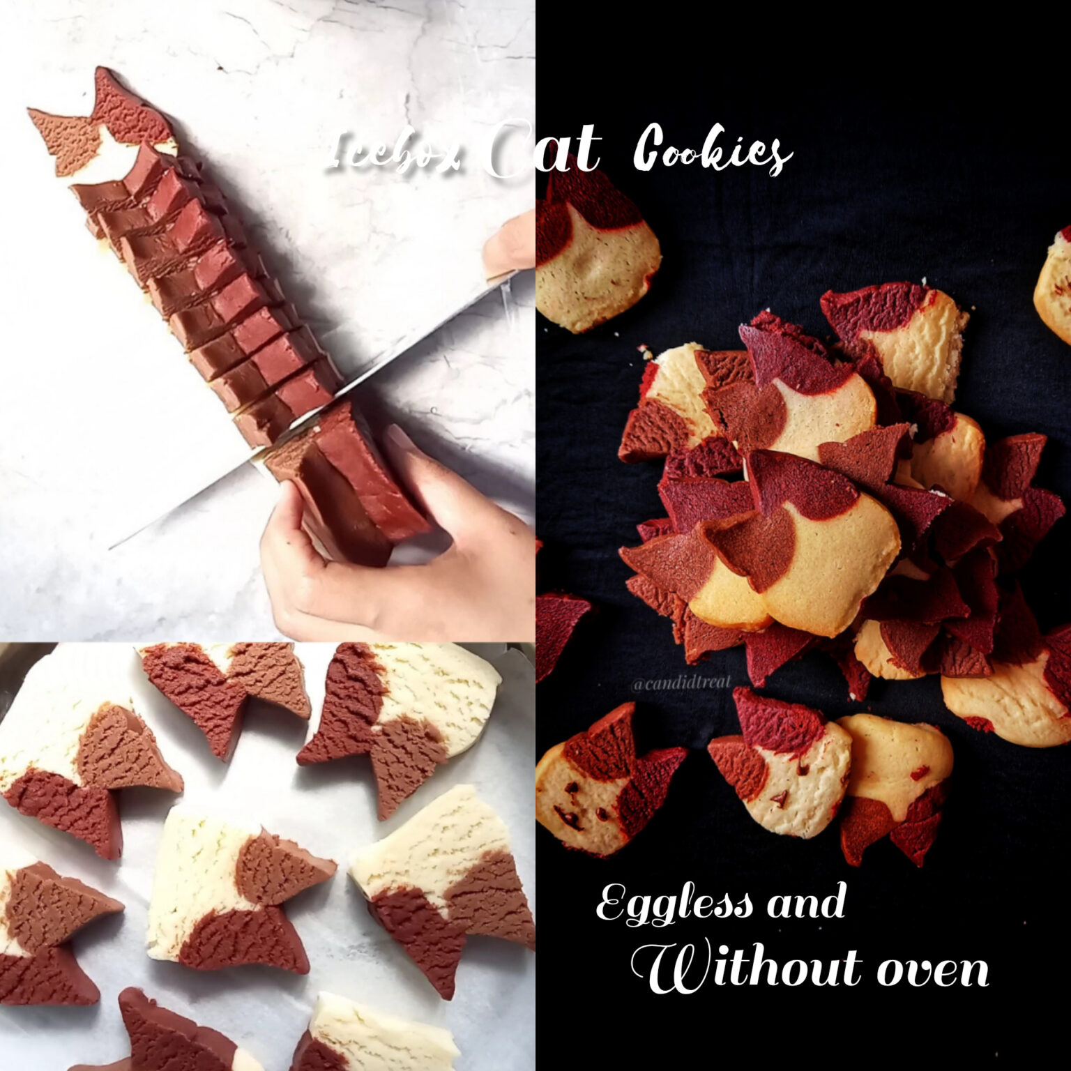 Icebox Cat Cookies | Eggless And Without Oven Recipe – Candid Treat