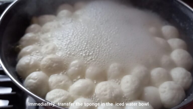 Rasgulla | How to make soft spongy mini rasgulla – Candid Treat