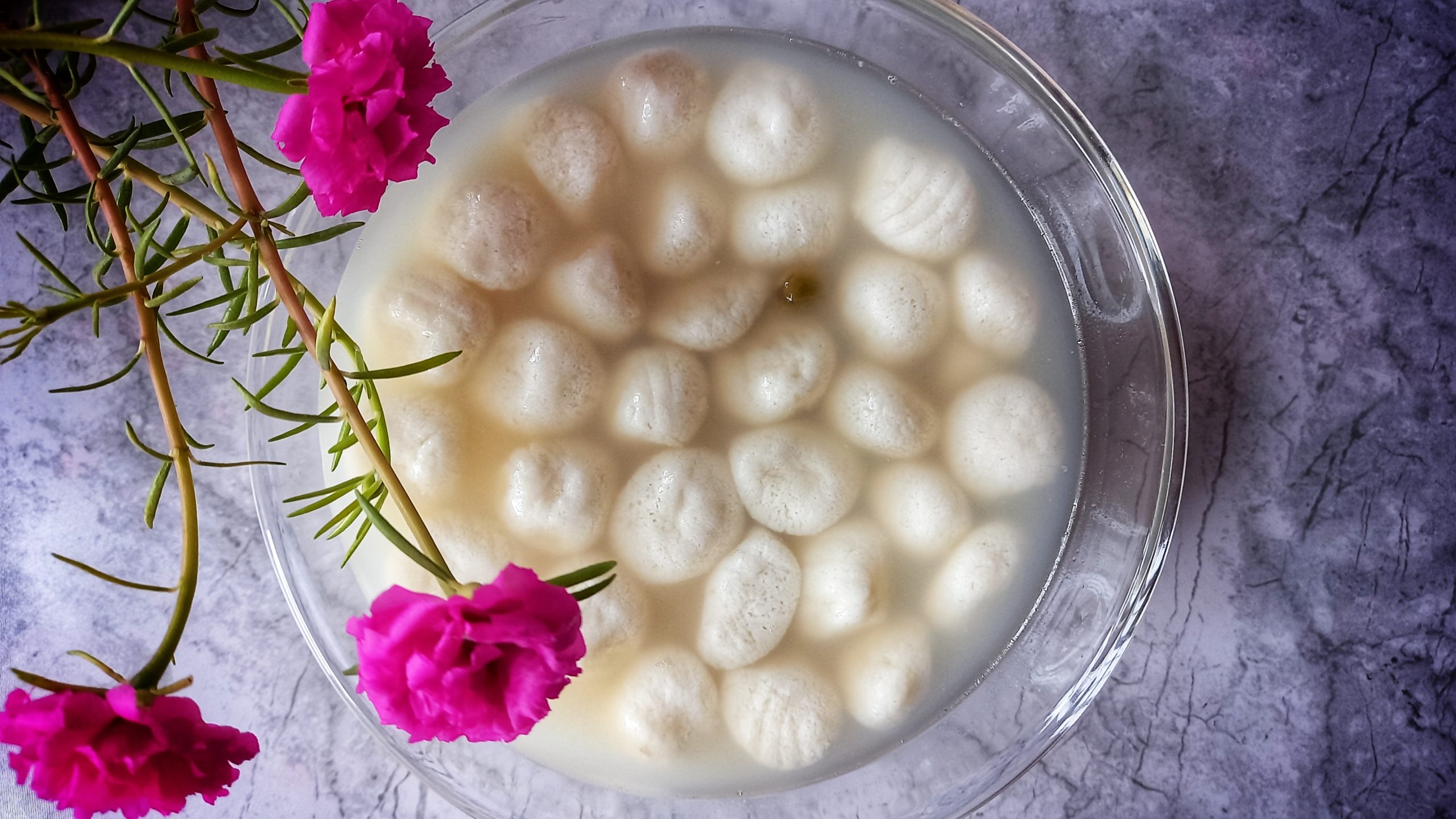 Rasgulla | How to make soft spongy mini rasgulla – Candid Treat