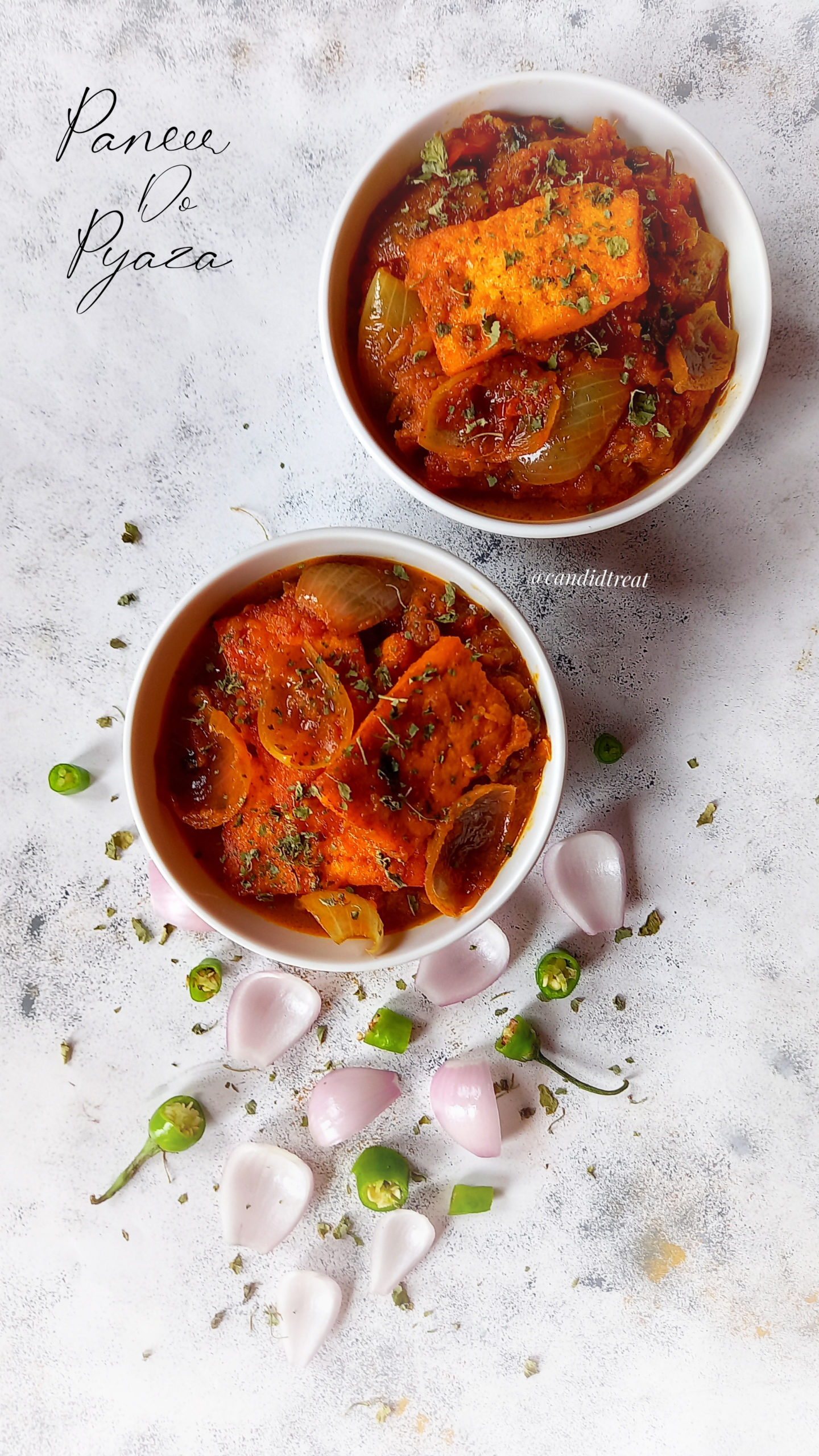 Paneer Do Pyaza | Restaurant Style Paneer Recipe – Candid Treat