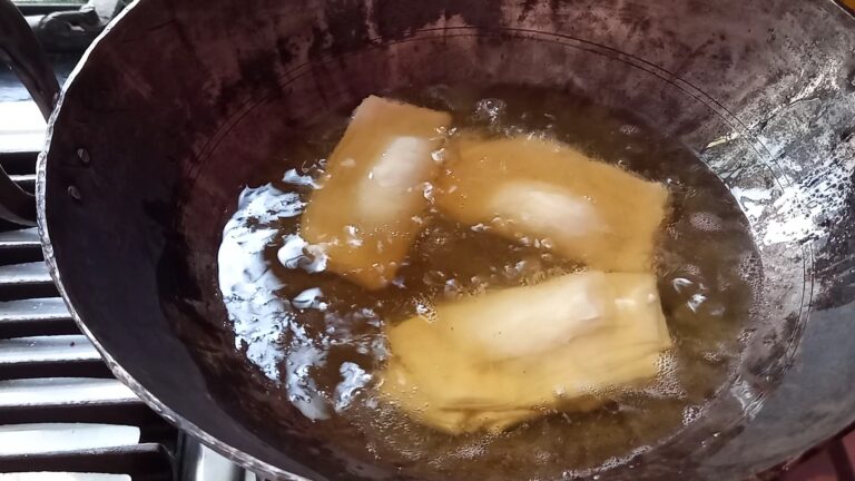 Japani Samosa | Punjbi Samosa With Layers | Satpura – Candid Treat