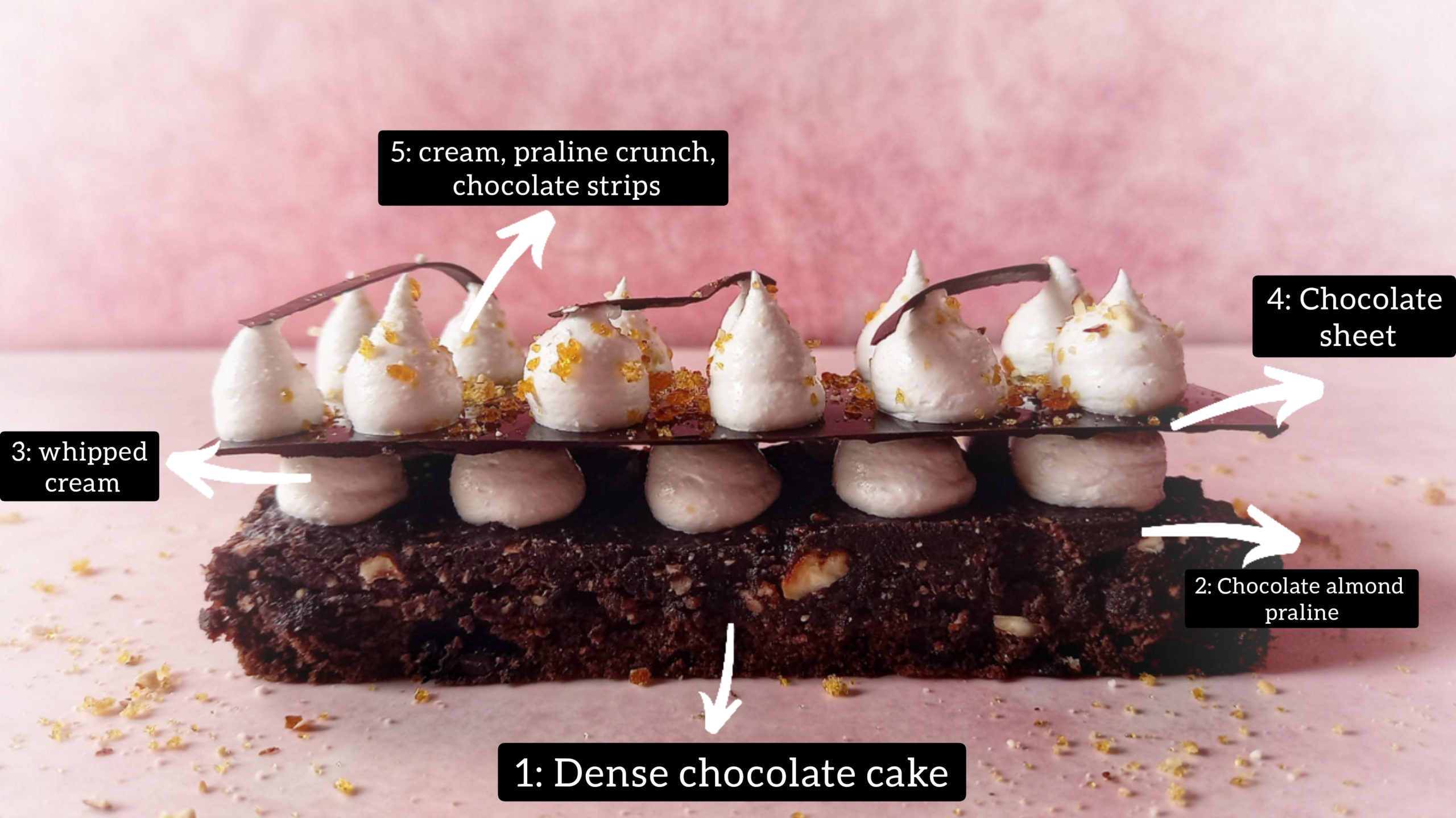 Chocolate Pleasure | Chocolate Dessert Recipe - Candid Treat