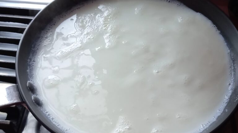 Chocolate Sago Pudding | Tapioca Pudding - Candid Treat