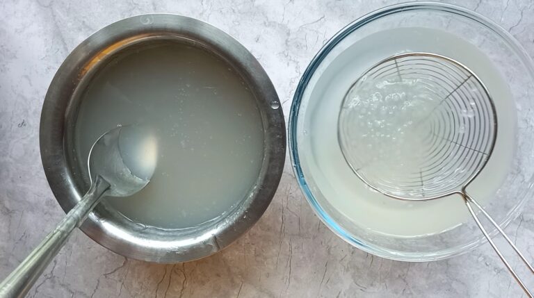 Chocolate Sago Pudding | Tapioca Pudding - Candid Treat