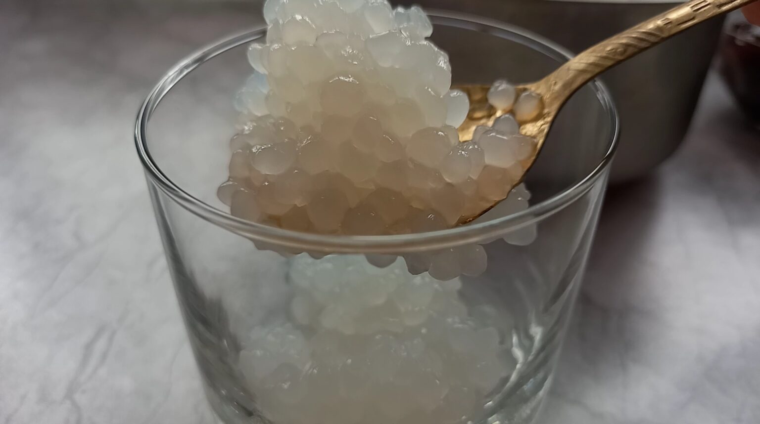 Chocolate Sago Pudding | Tapioca Pudding - Candid Treat