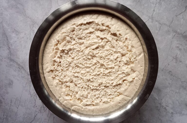 Healthy Breakfast Recipe | High protein dosa - Candid Treat