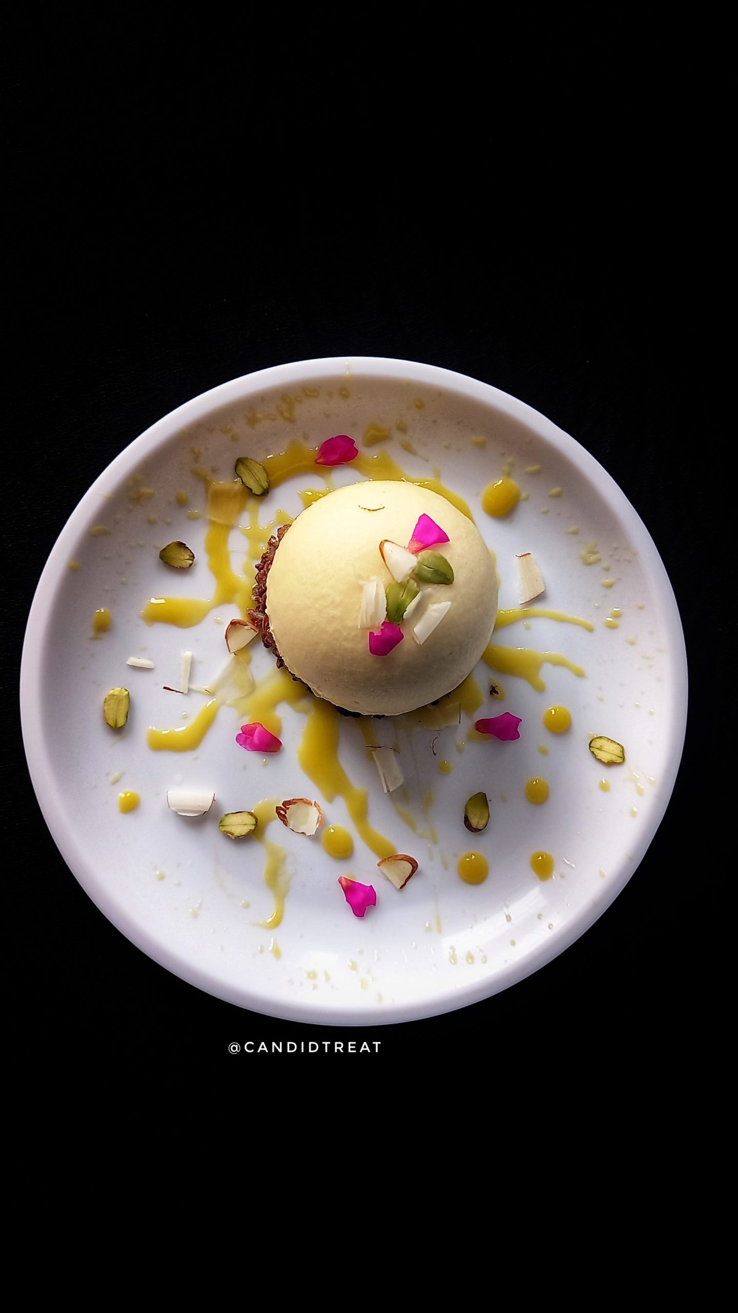 Frozen Mango Yogurt Dome Dessert | Fusion Dessert - Candid Treat