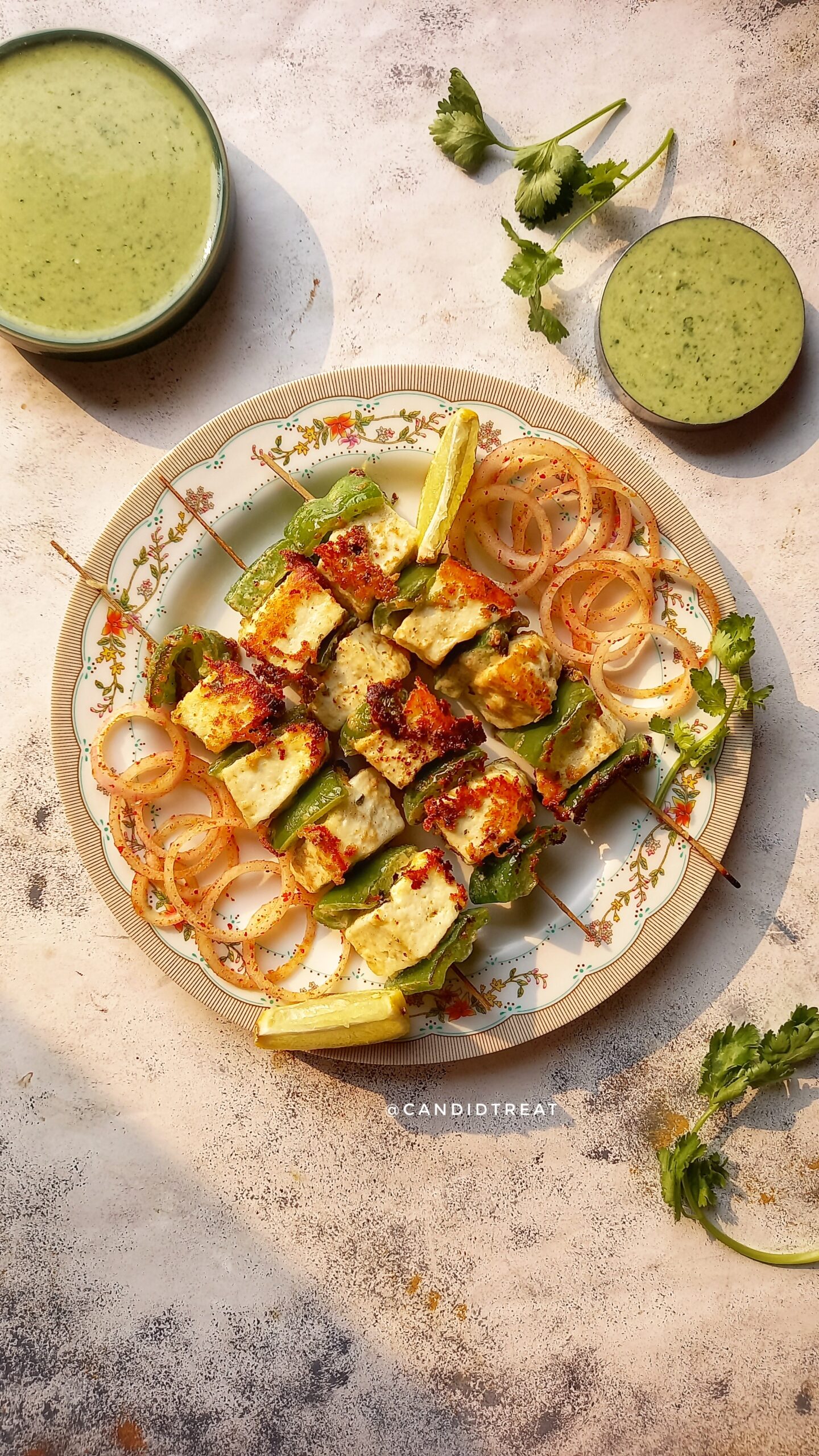 Malai Paneer Tikka Recipe | Starter Dish - Candid Treat