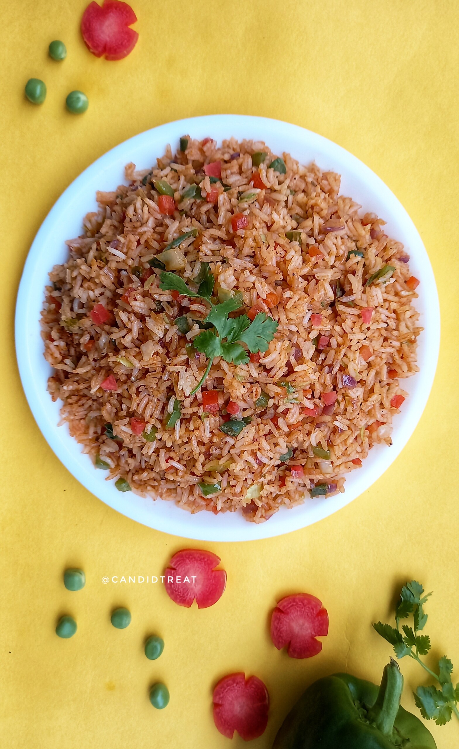 Schezwan Fried Rice Recipe - Candid Treat