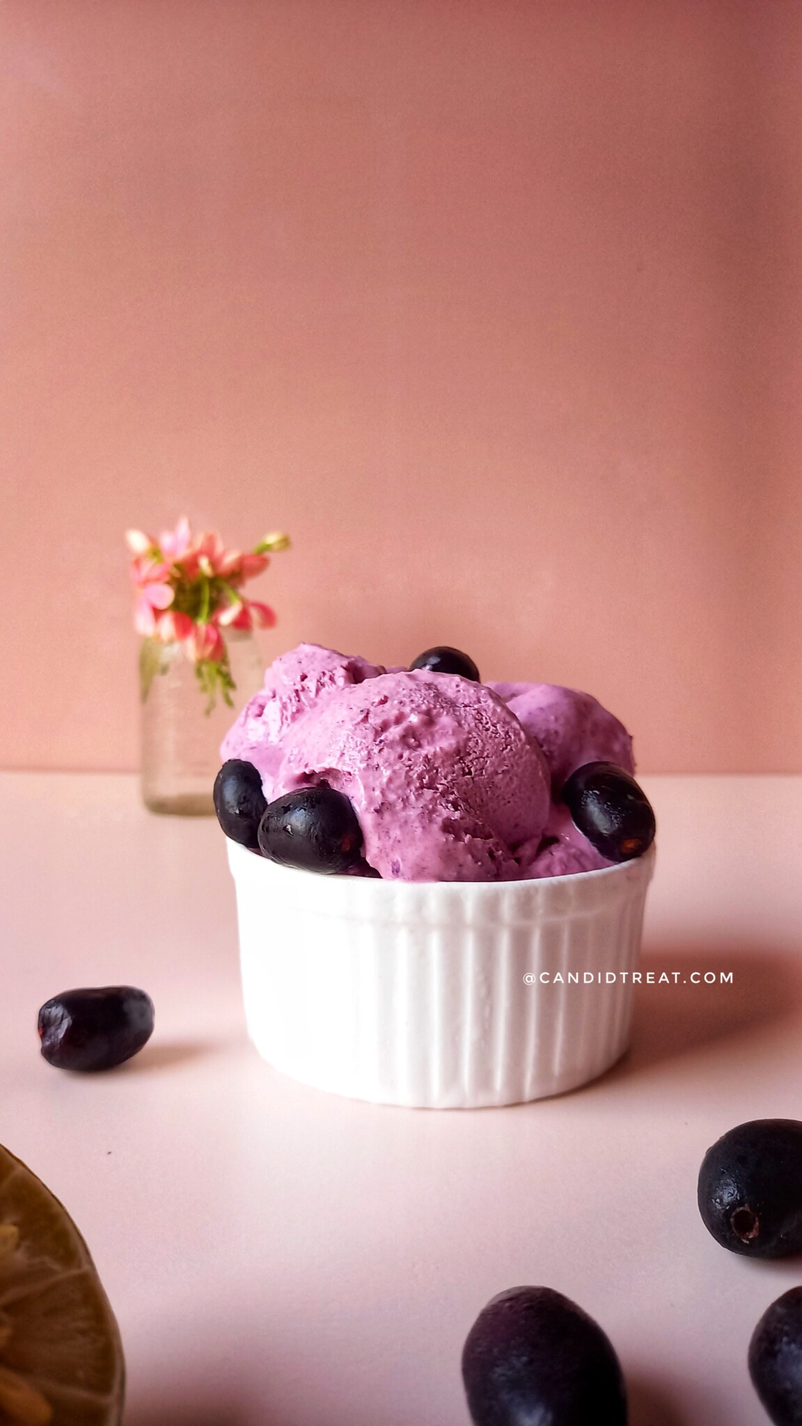 Jamun Ice-Cream Recipe | No churn Ice-Cream – Candid Treat